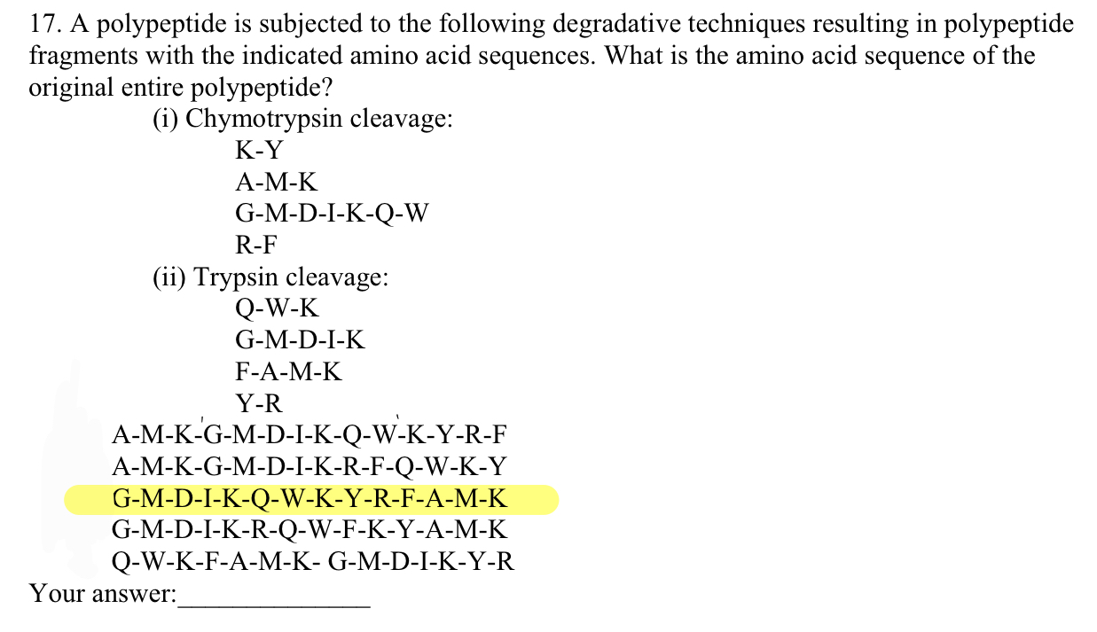Solved 17. A polypeptide is subjected to the following | Chegg.com