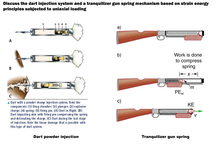 Solved Discuss the dart injection system and a tranquilizer | Chegg.com
