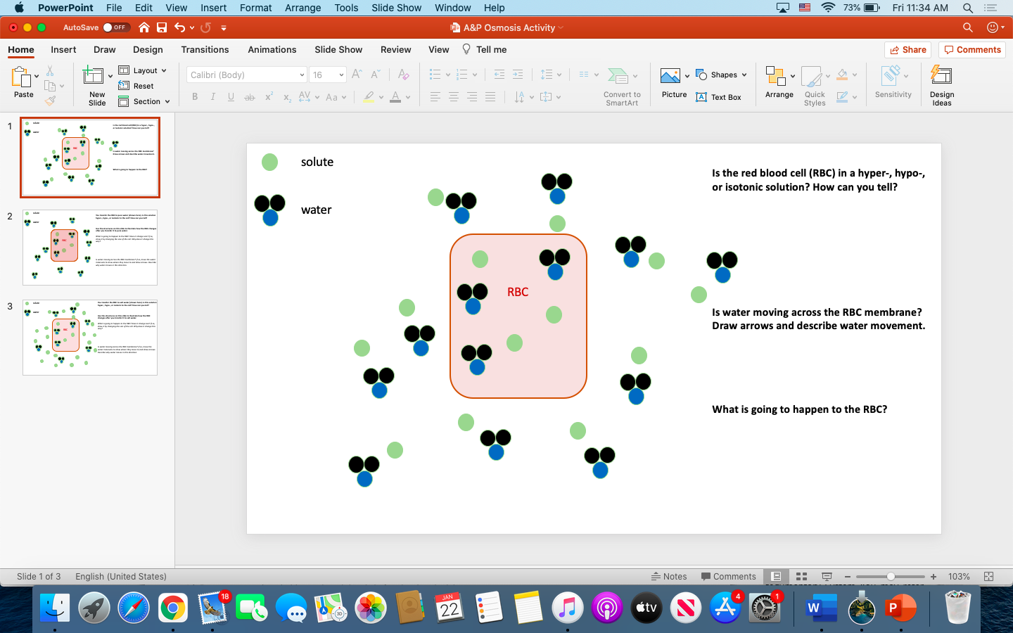 Solved 73% Fri 11:34 AM Q Q PowerPoint File Edit View Insert | Chegg.com