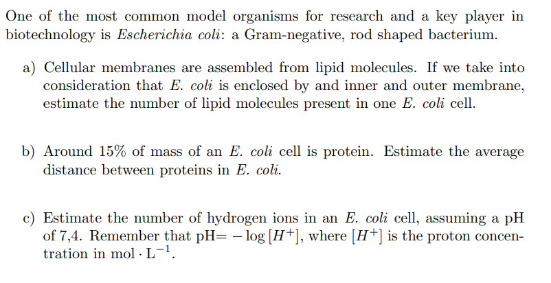 Solved One of the most common model organisms for research | Chegg.com