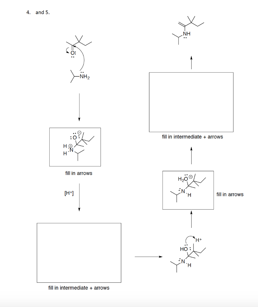 Solved 4. and 5. fill in intermediate + arrows II fill in | Chegg.com