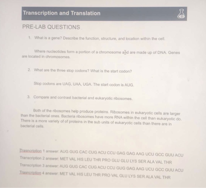 Solved Transcription and Translation PRE-LAB QUESTIONS What | Chegg.com