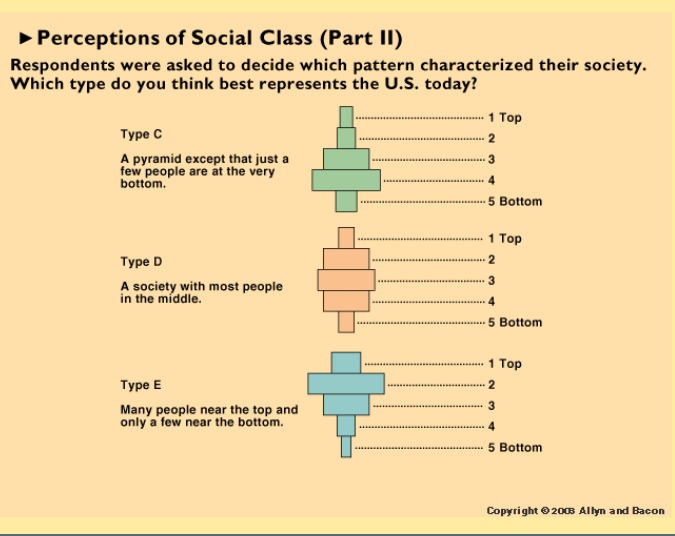 - Perceptions of Social Class (Part II) Respondents | Chegg.com