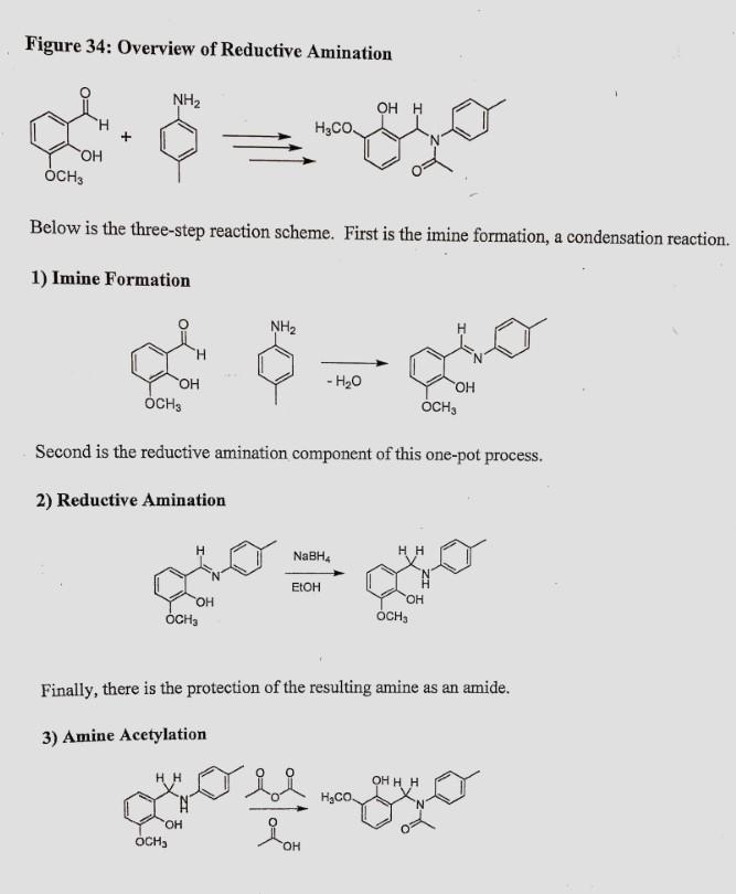 Solved Figure 34: Overview of Reductive Amination Below is | Chegg.com