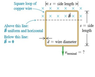 Solved A vertically oriented square loop of copper wire | Chegg.com