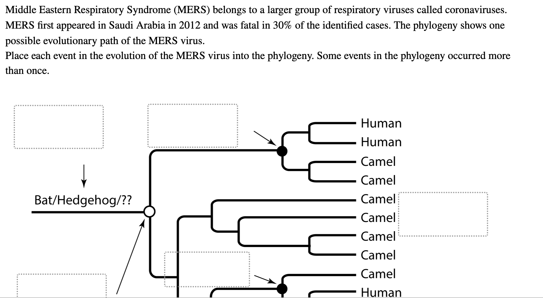 Solved Middle Eastern Respiratory Syndrome (MERS) belongs to | Chegg.com