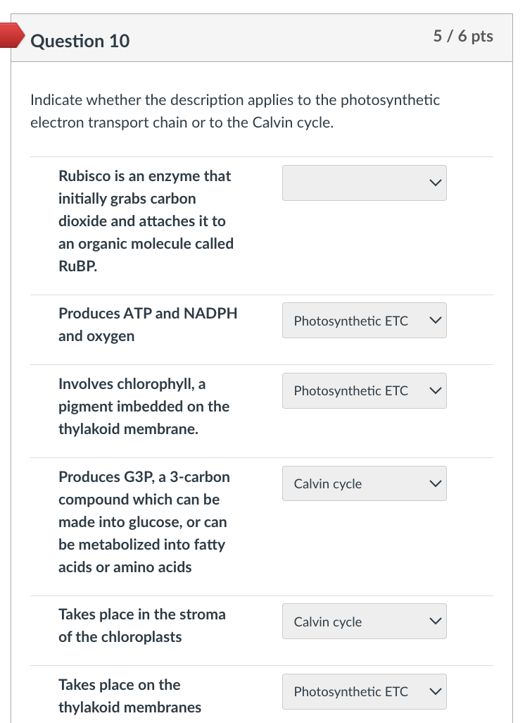 Solved Question 10Indicate whether the description applies | Chegg.com