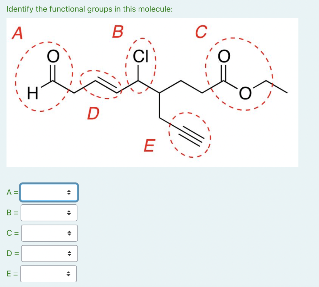 Solved Identify the functional groups in this | Chegg.com