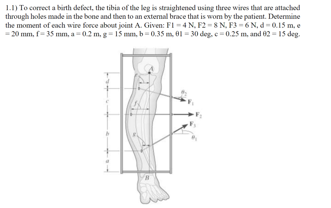 Solved 1.1) To correct a birth defect, the tibia of the leg | Chegg.com
