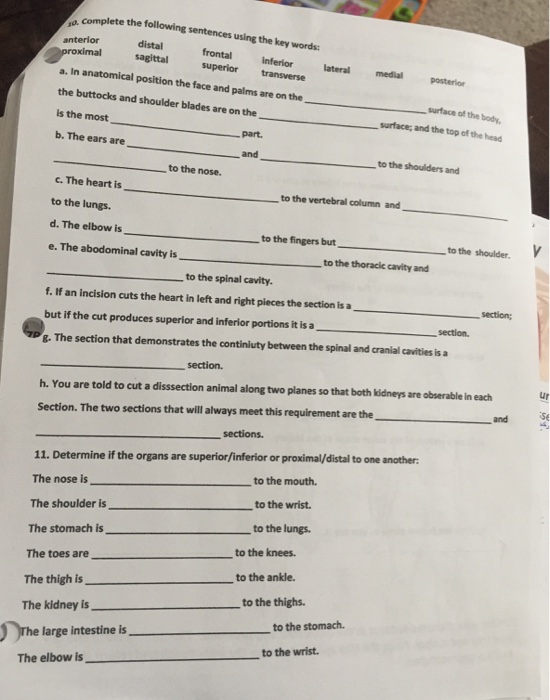 Solved Complete the Following sentences using the keywords: | Chegg.com