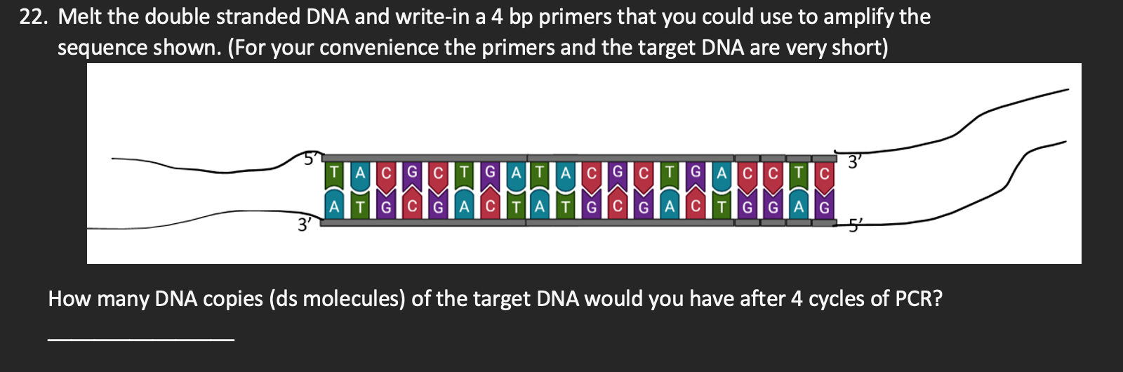 Solved 22. Melt the double stranded DNA and write-in a 4 bp | Chegg.com