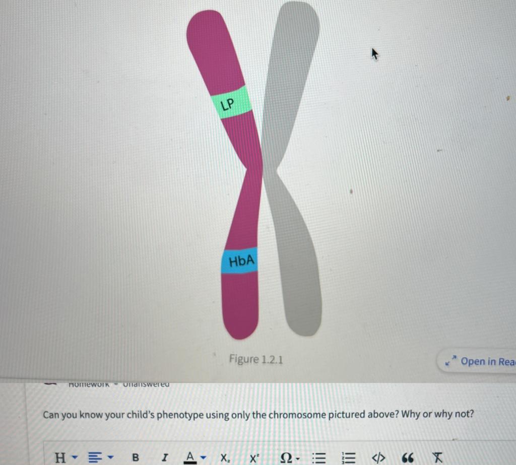 Solved Can you know your child's phenotype using only the | Chegg.com