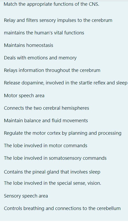 Solved Match the appropriate functions of the CNS. Relay and | Chegg.com