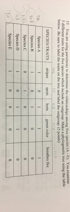 Solved 37. You are using parsimony to determine the | Chegg.com