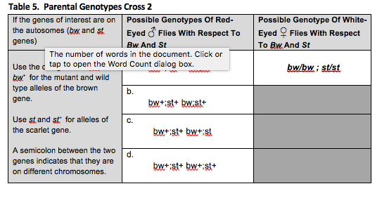 Solved Table 6. Using Punnett Squares to Analyze Cross 2 | Chegg.com