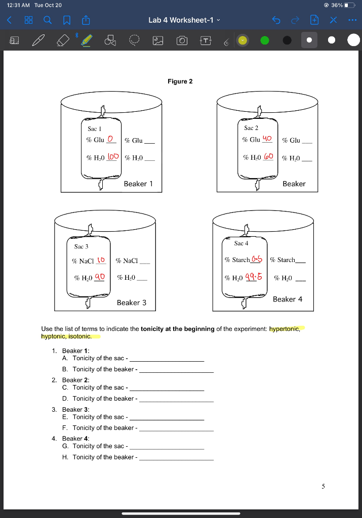 Solved Please help me fill the tonicity of each beaker and | Chegg.com