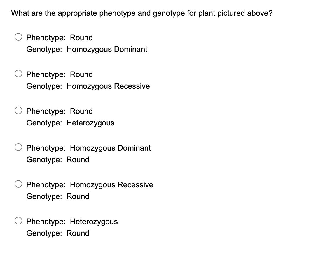 Solved What are the appropriate phenotype and genotype for | Chegg.com