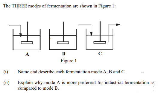 Select The Inputs Of Fermentation
