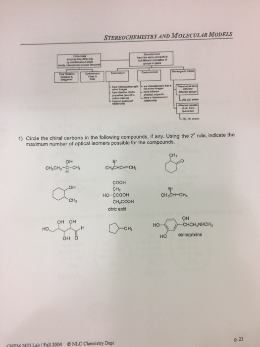 Solved STEREOCHEMISTRY AND MOLECULAR MODELS 1) Circle the | Chegg.com