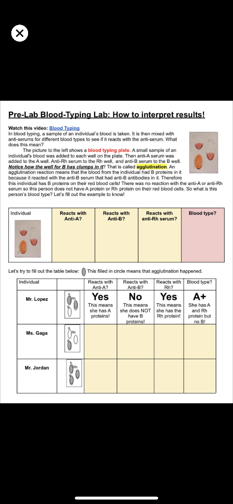 Solved Х Pre-Lab Blood-Typing Lab: How to interpret results! | Chegg.com