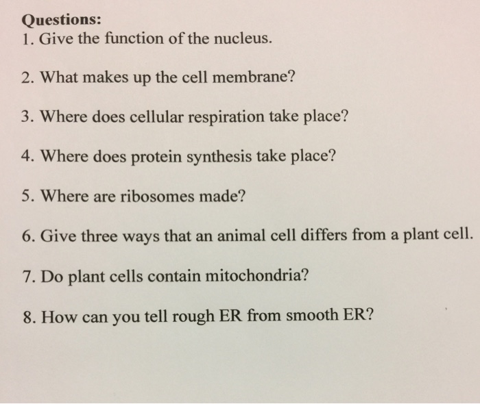 Solved Give the function of the nucleus. What makes up the | Chegg.com