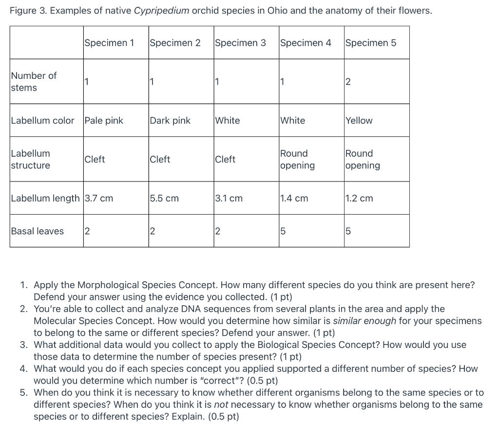 Solved An individual assignment. Due before lab. Please | Chegg.com