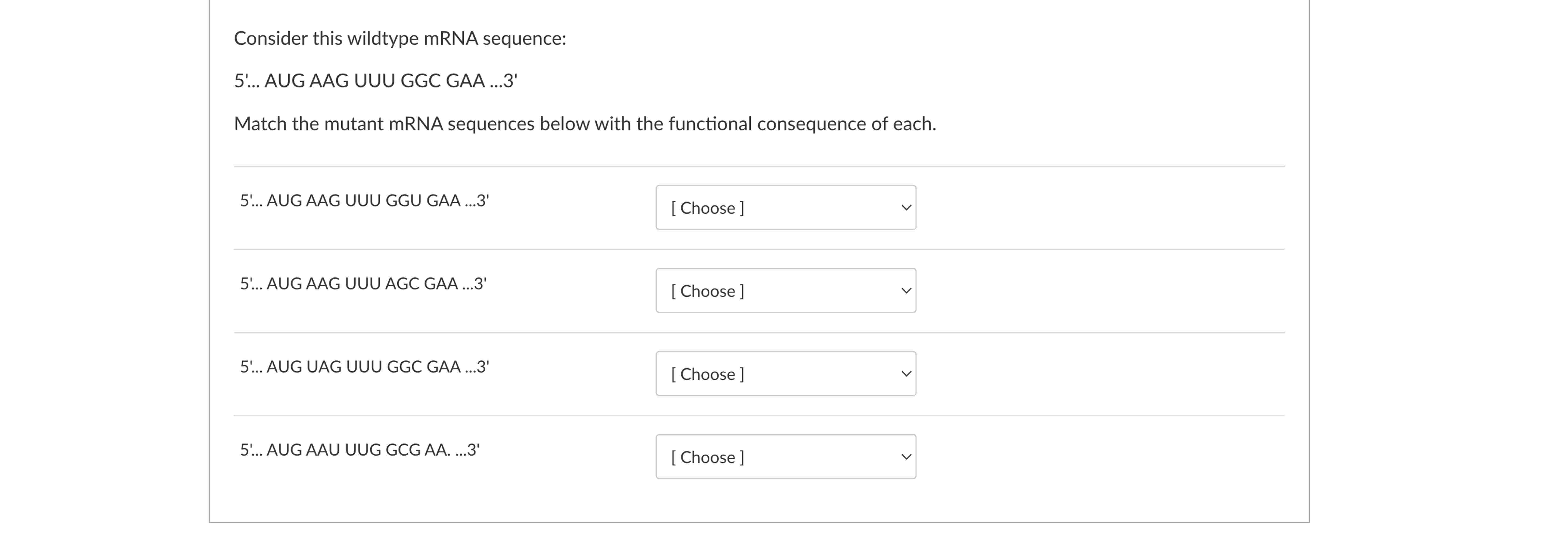 Solved Consider this wildtype mRNA sequence:5'... ﻿AUG AAG | Chegg.com