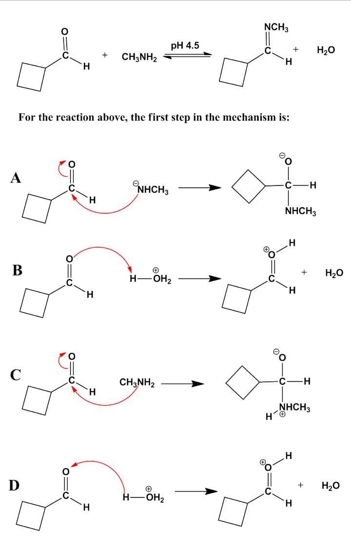 Solved NCH3 pH 4.5 C + o CH3NH2 H2O H H For the reaction | Chegg.com