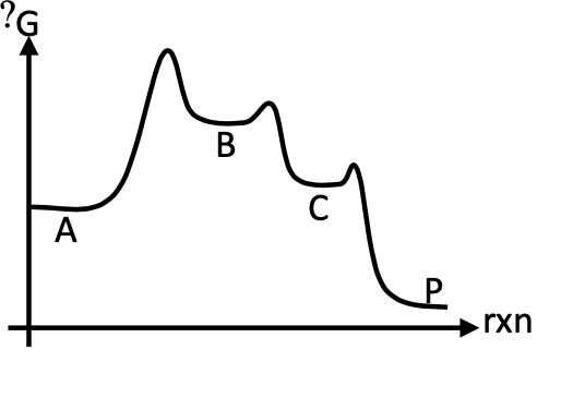 Solved The reaction of A to P has been determined to be a | Chegg.com