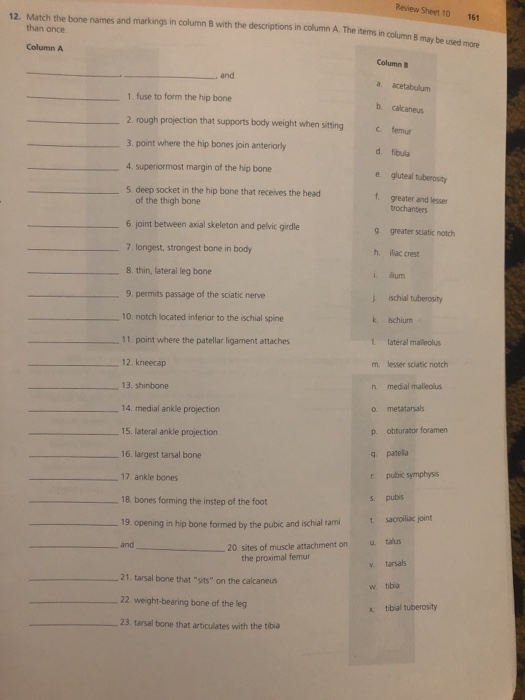 Solved 10 Instructors May Assign A Portion Ol The Review 