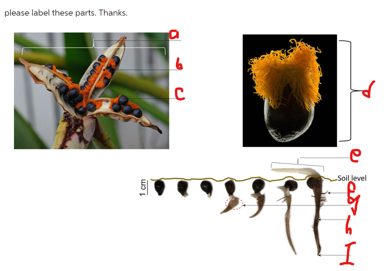 Solved please label these parts. Thanks. | Chegg.com