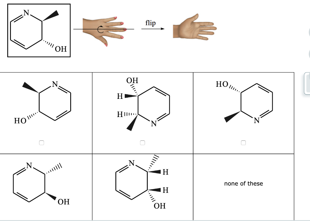 Solved Which of these structures shows how the pictured | Chegg.com
