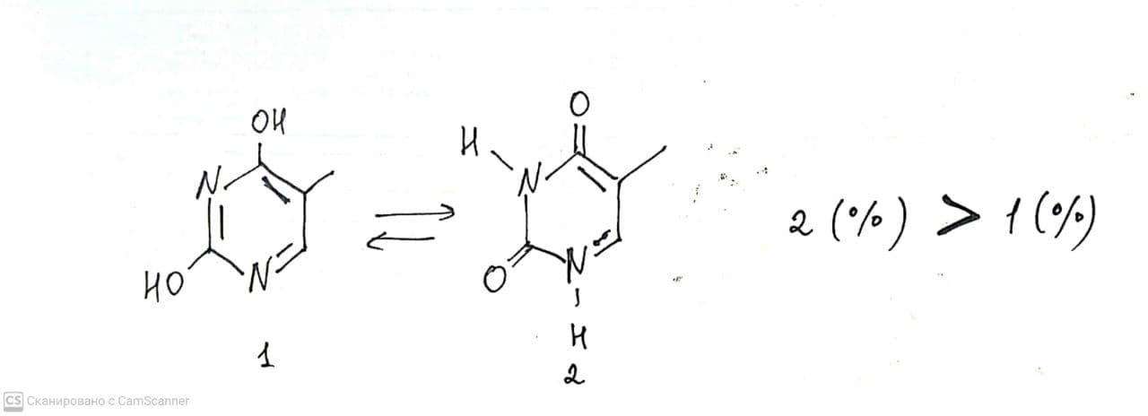 Solved Why is the equilibrium of lactam-lactam tautomerism | Chegg.com