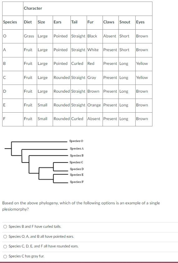 Based on the above phylogeny, which of the following | Chegg.com