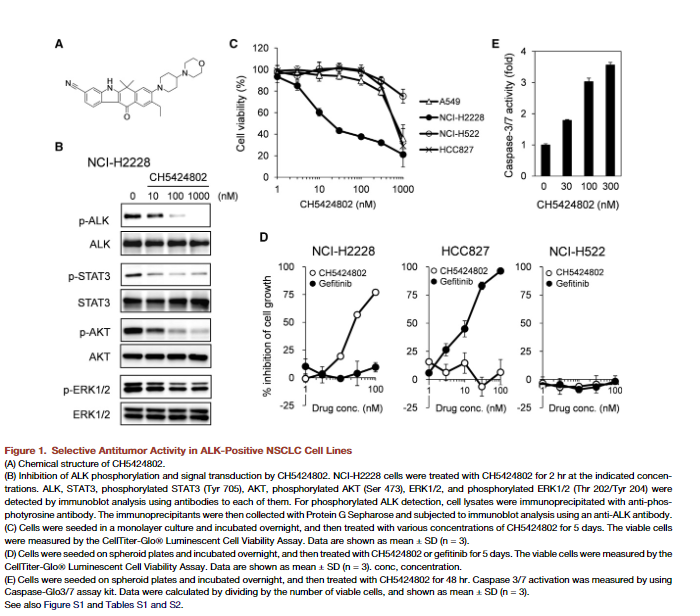 Solved Figure 1. Selective Antitumor Activity in | Chegg.com