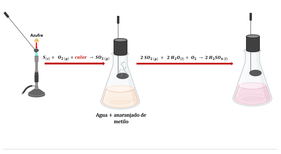 Solved For the following experiment, describe what will be | Chegg.com