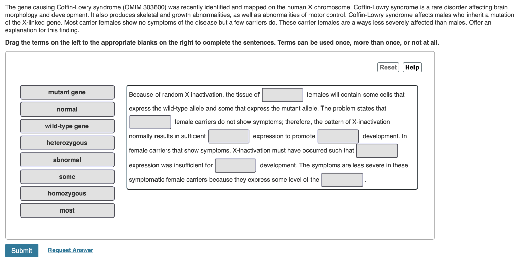 Coffin Lowry Syndrome