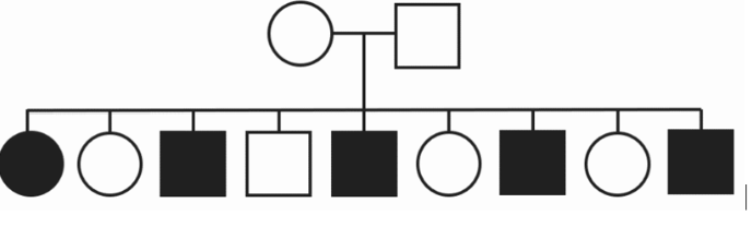 Solved Can a mutation in a single gene (i.e., ﻿Mendelian) | Chegg.com