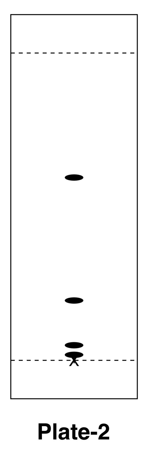 Solved A second TLC plate is prepared, eluted and visualized | Chegg.com