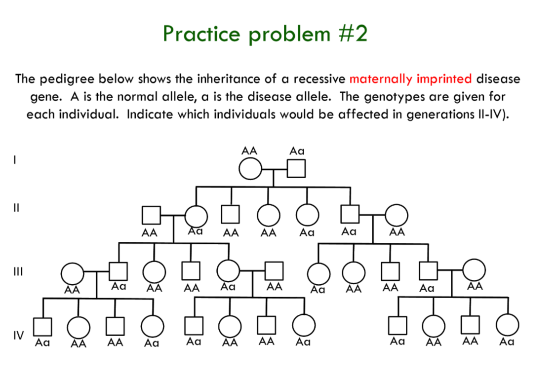 Solved Practice problem \#2 The pedigree below shows the | Chegg.com