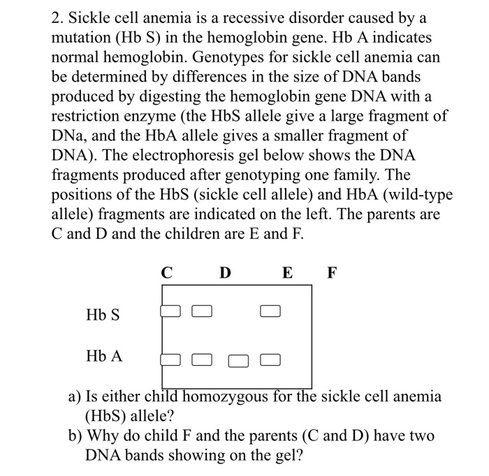 2. Sickle cell anemia is a recessive disorder caused | Chegg.com