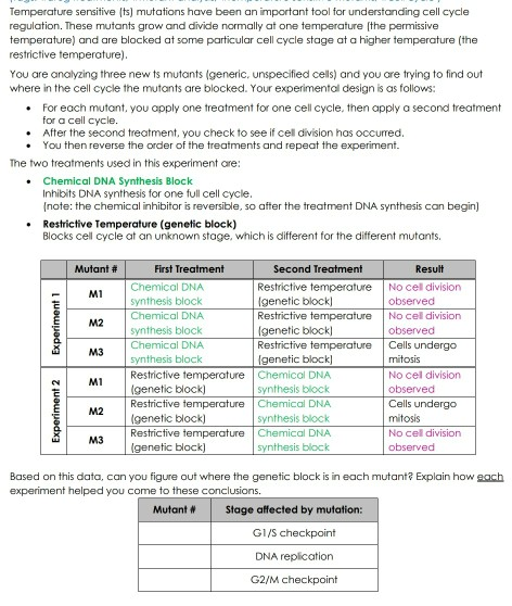 Solved Temperature sensitive (ts) mutations have been an | Chegg.com