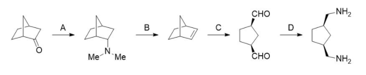 Solved CHO -NH2 A 00 с D N. Me Me CHO NH2 | Chegg.com