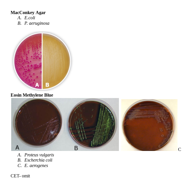 Solved Complete Activity of Growth Table p163 Plate | Chegg.com