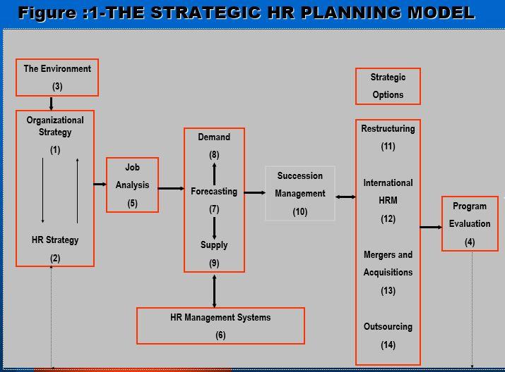 Solved Strategic Human Resource Planning uses a model based | Chegg.com