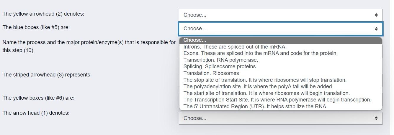Solved Match the name to the correct number shown on the | Chegg.com