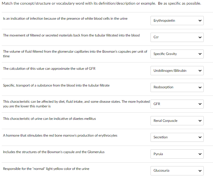Solved Match the concept/structure or vocabulary word with | Chegg.com