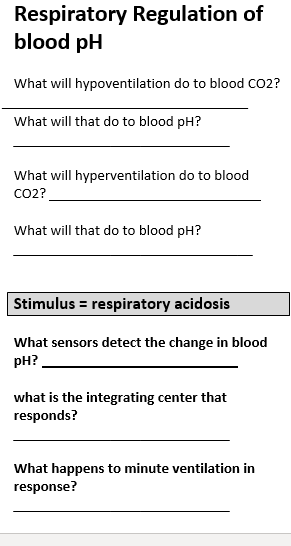 Solved Respiratory Regulation of blood pH What will | Chegg.com
