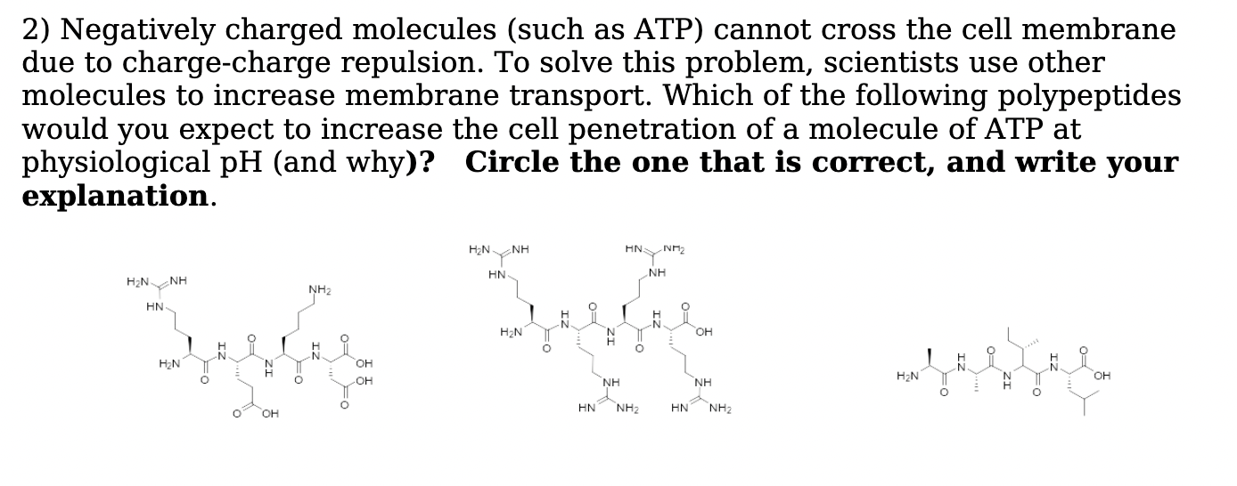 Solved 2) Negatively charged molecules (such as ATP) cannot | Chegg.com