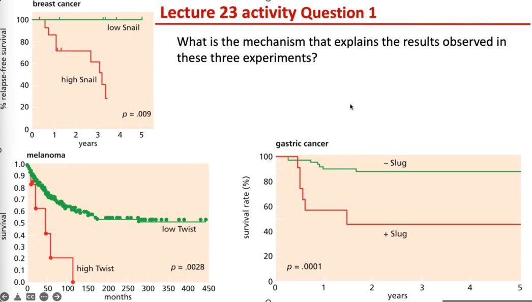 breast cancer Lecture 23 activity Question 1 What is | Chegg.com